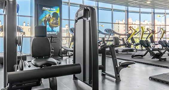 Installations :: Un Cors'sain